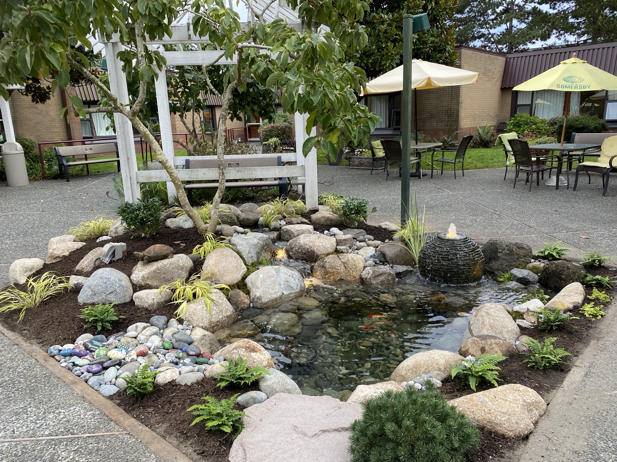 Thank you to everyone for helping upgrade the koi fish pond - Rosewood ...